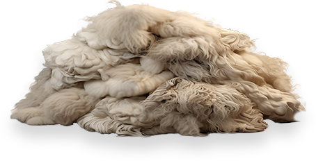 KellyOCG | Fluff-free talent solutions